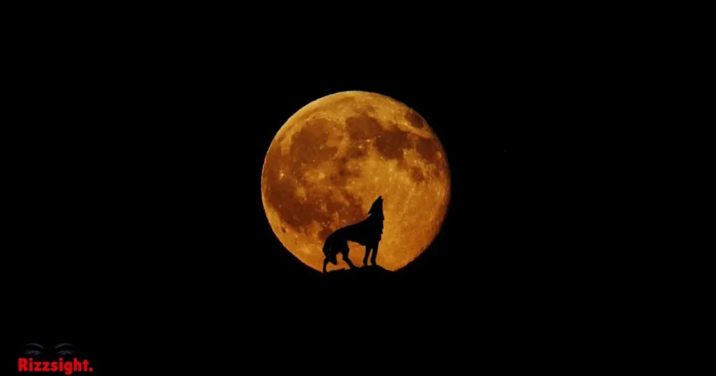 190+Best Wolf Rizz Lines (Smooth, Wild & Irresistible)