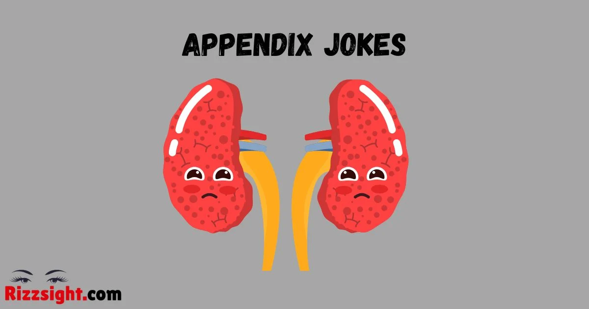 390+ Appendix Jokes (Funny, Clever & Light-Hearted Humor)